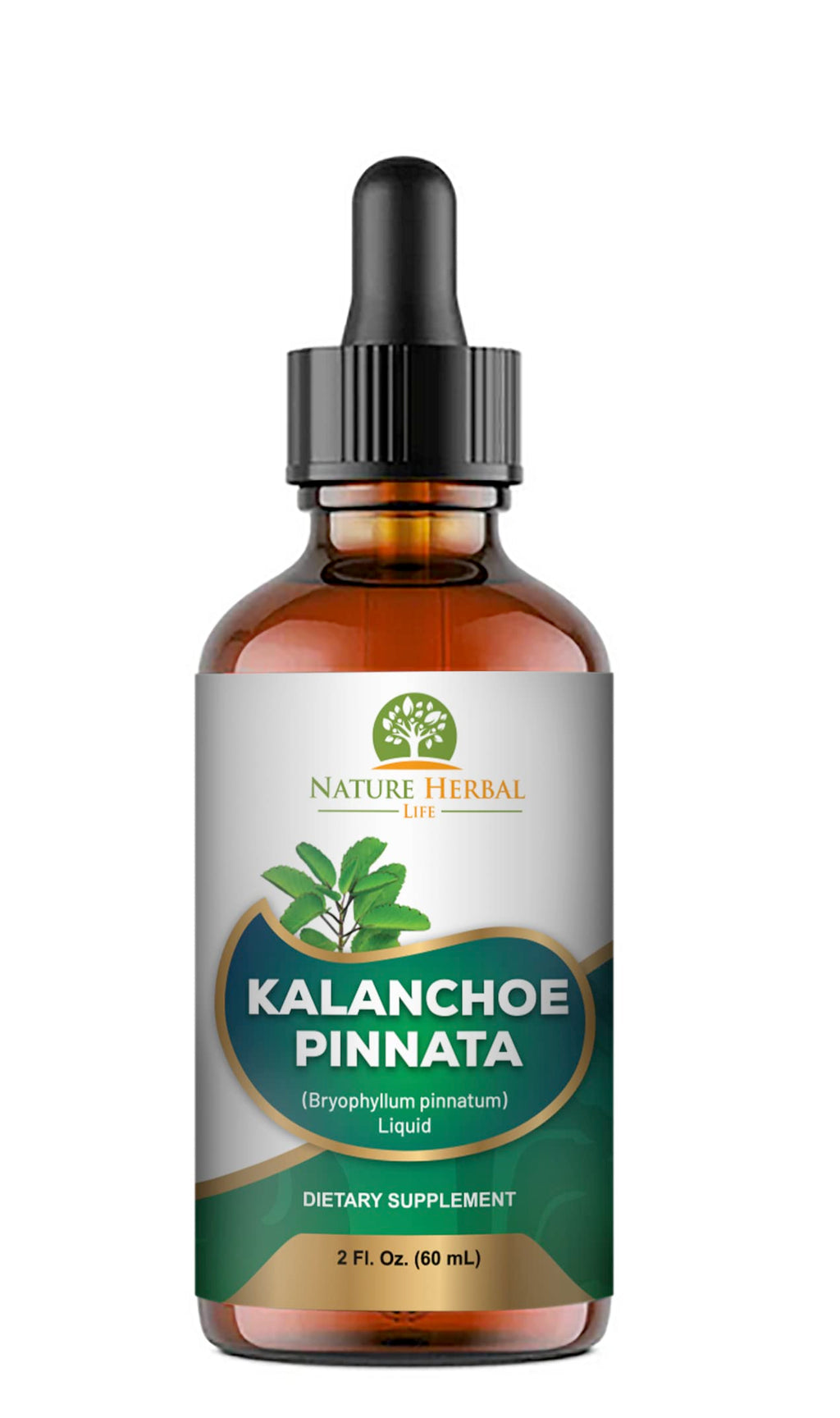 Kalanchoe Pinnata health supplement features