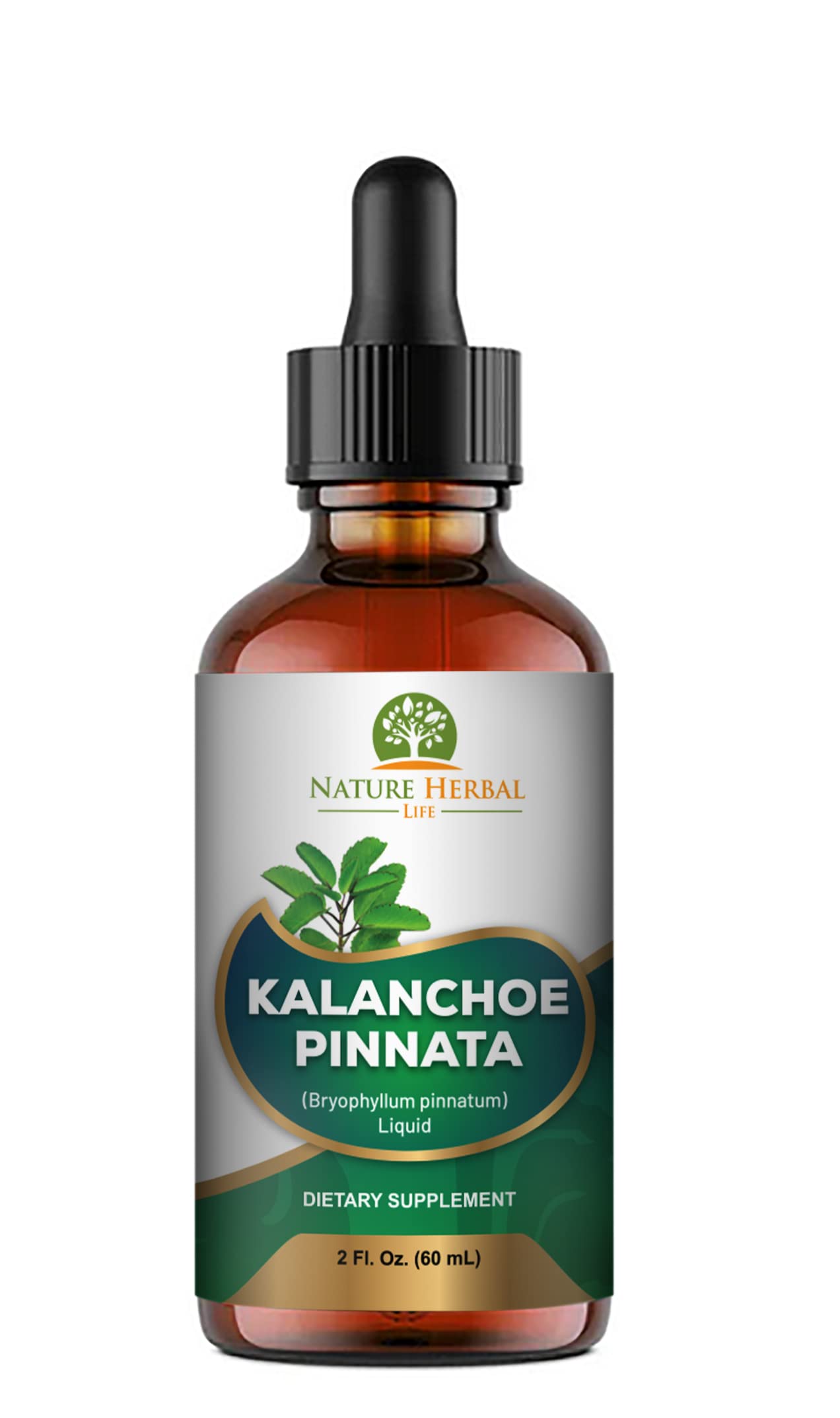 Kalanchoe Pinnata health supplement features