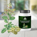 Kalanchoe Pinnata herbal capsules for wellness