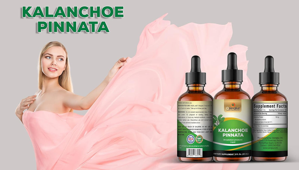 Kalanchoe Pinnata herbal supplement