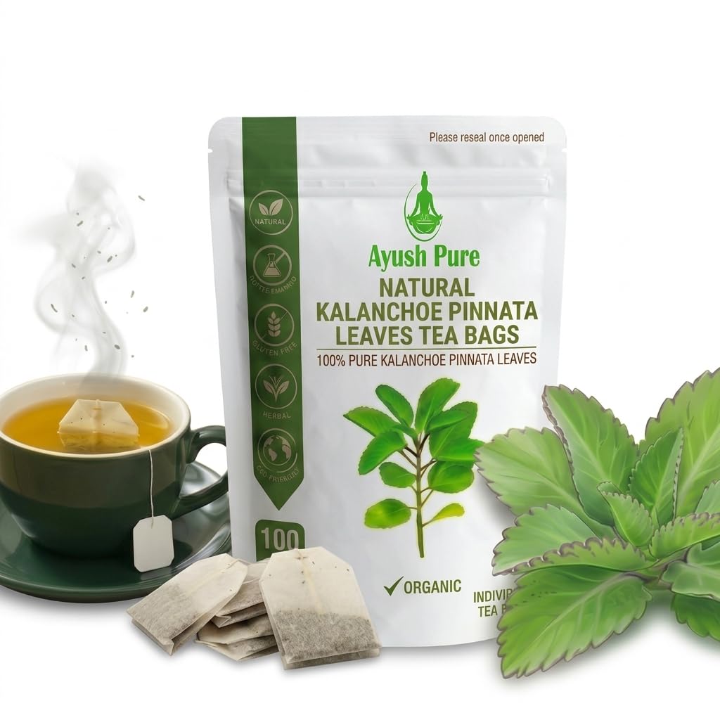 Kalanchoe Pinnata herbal tea bags