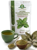 Kalanchoe Pinnata herbal tea benefits