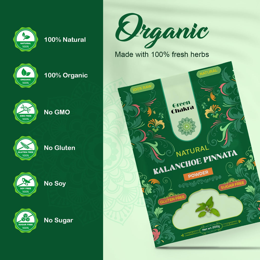 Kalanchoe Pinnata leaves for vitality