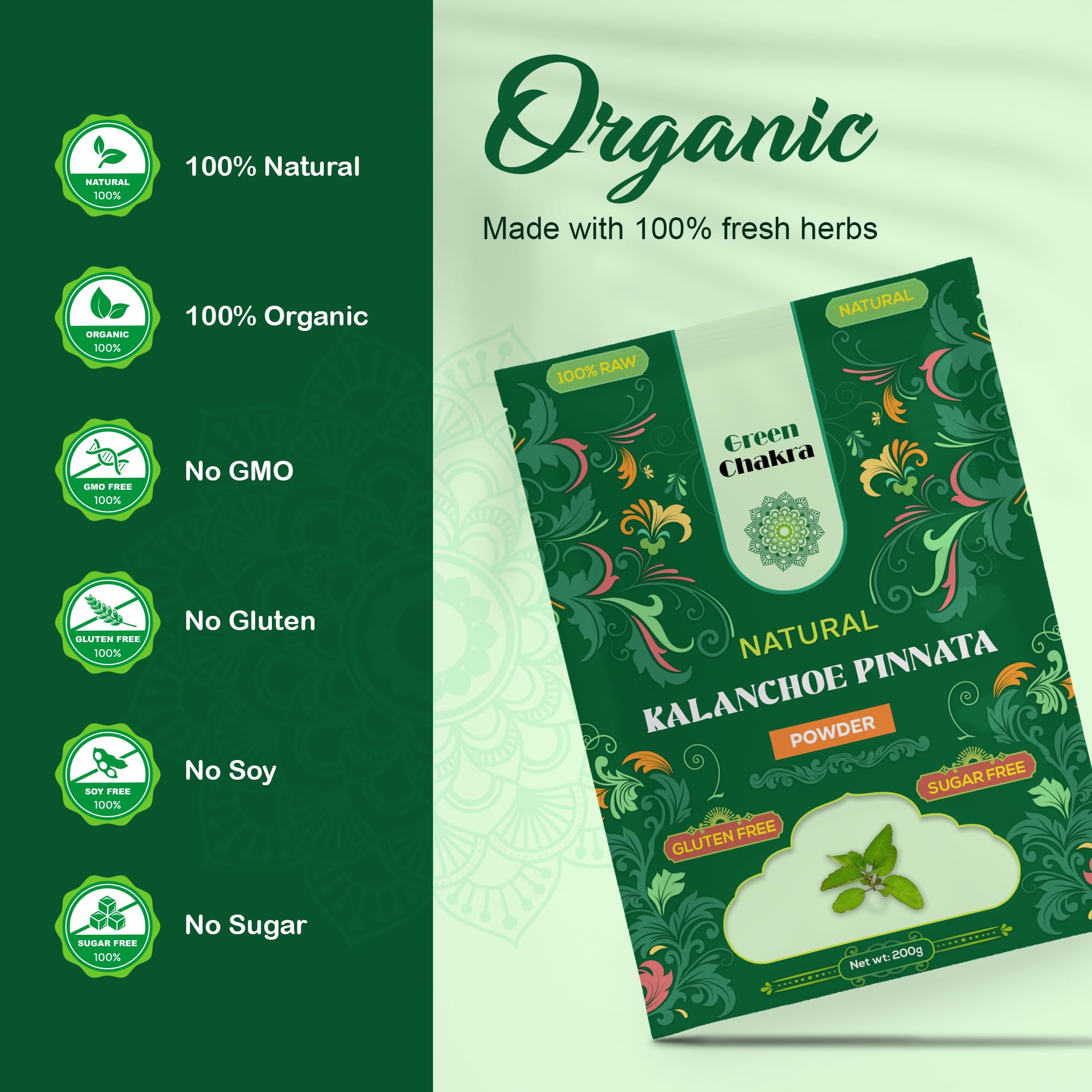 Kalanchoe Pinnata leaves for vitality