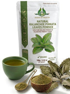Kalanchoe Pinnata leaves herbal tea
