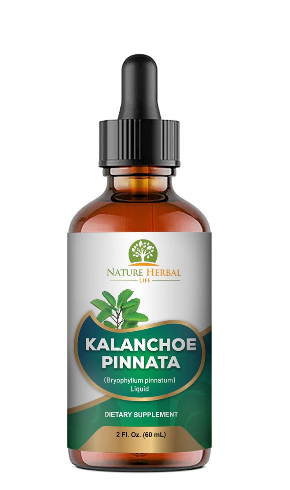 Kalanchoe Pinnata liquid extract uses