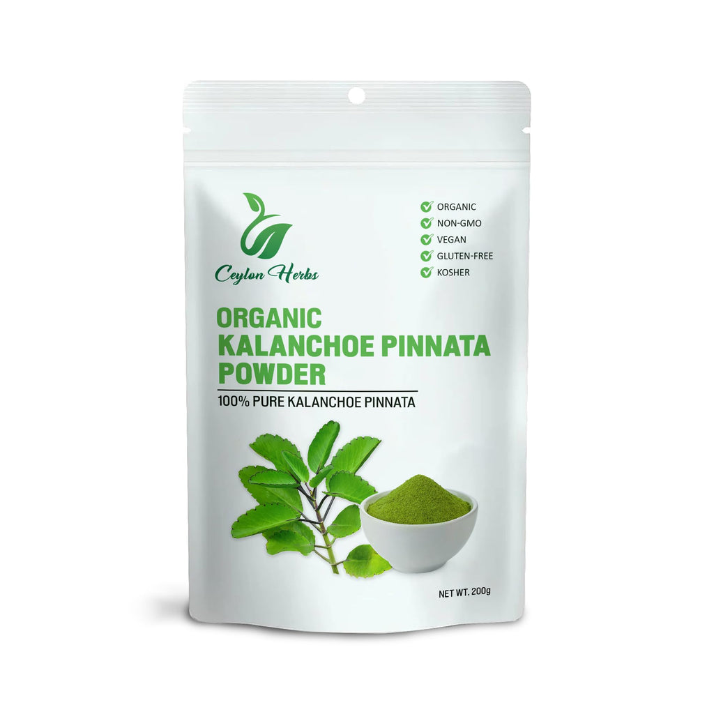 Kalanchoe Pinnata powder for immunity