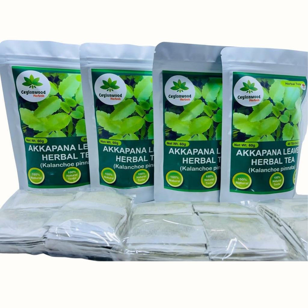 Kalanchoe Pinnata tea for wellness
