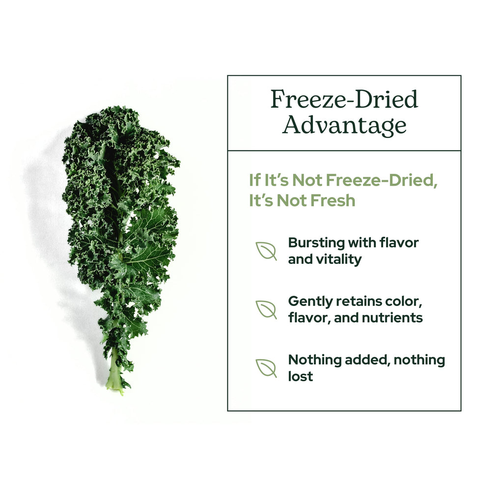 kale powder for immune support