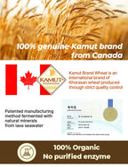 KAMUT wheat grain for gut wellness