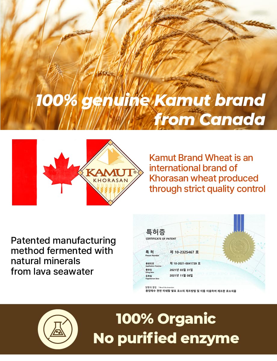 KAMUT wheat grain for gut wellness