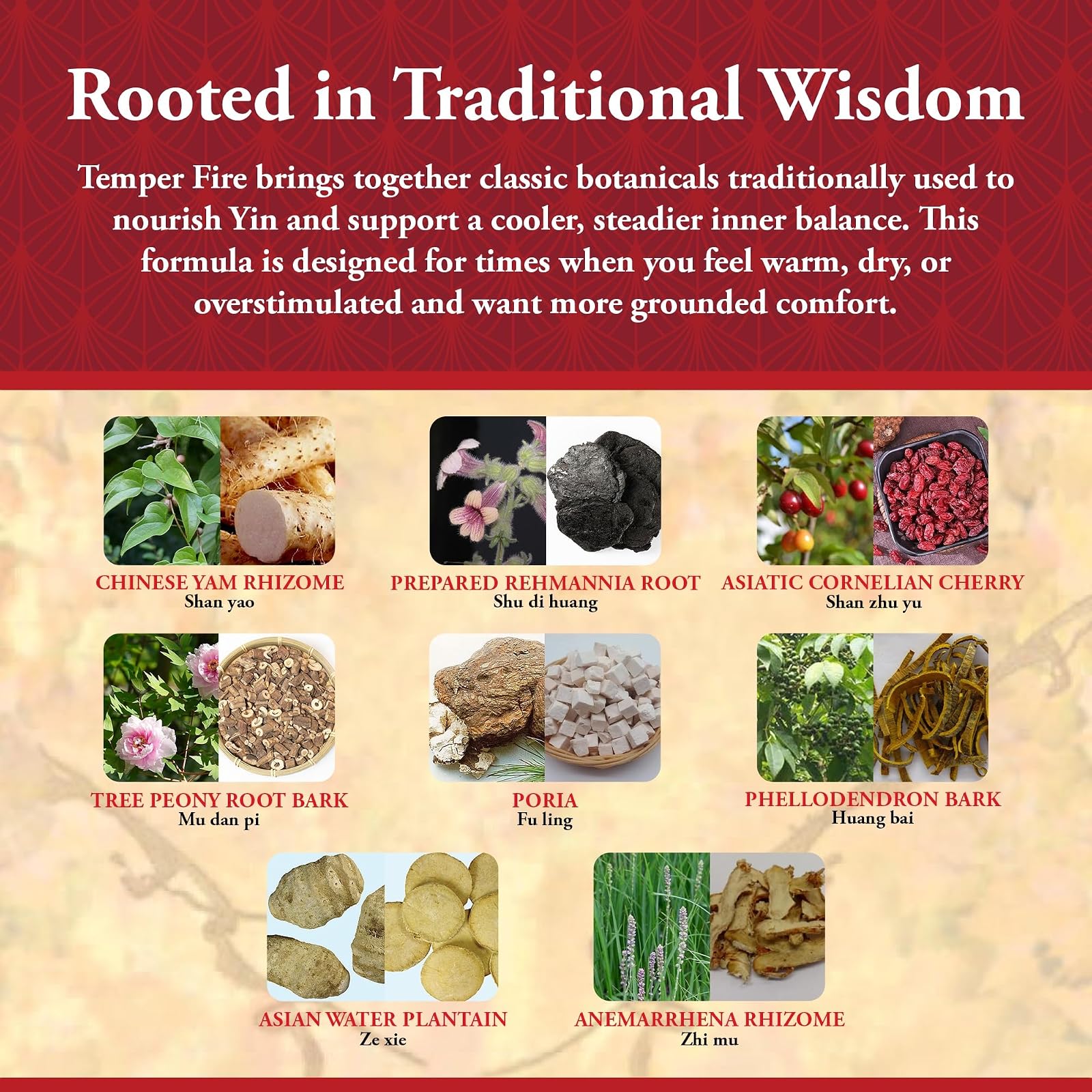 Kan Herb Company vitamins for daily wellness