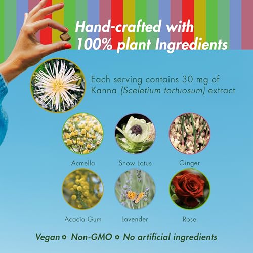 Kanna extract for better focus and calm