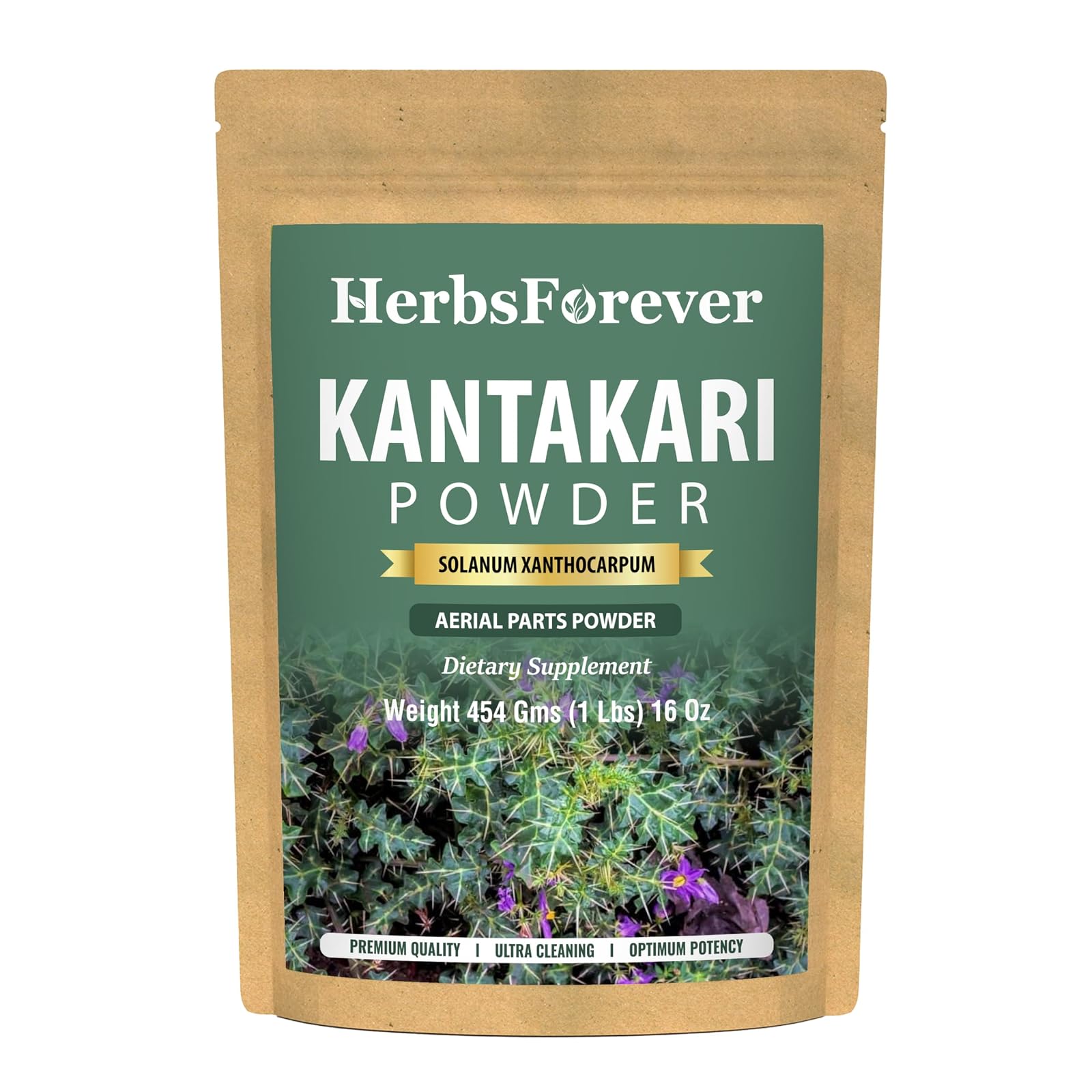 Kantakari plant powder for liver health