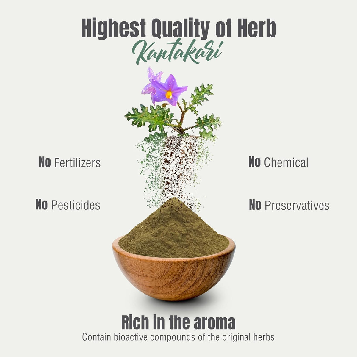 Kantakari powder for digestive aid