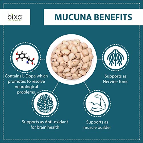 Kapikacchu for enhanced vitality
