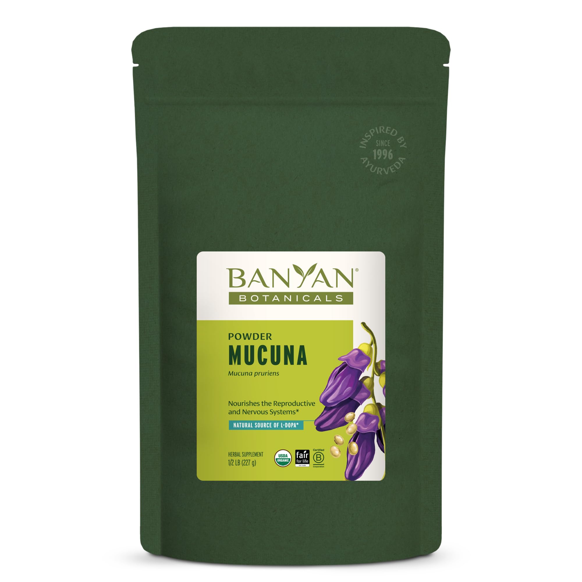 Kapikacchu powder for natural energy