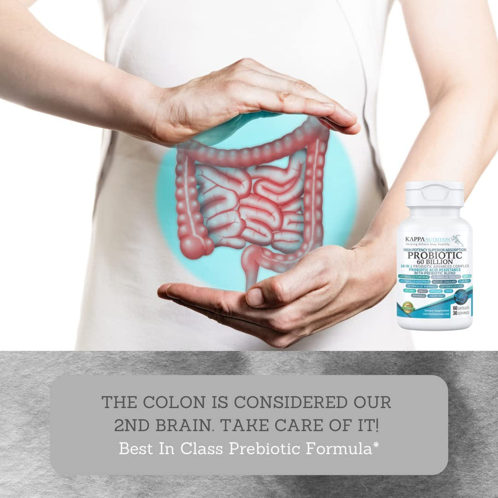 Kappa Nutrition digestive health support