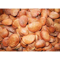 Karanj seeds blended vitamin supplements