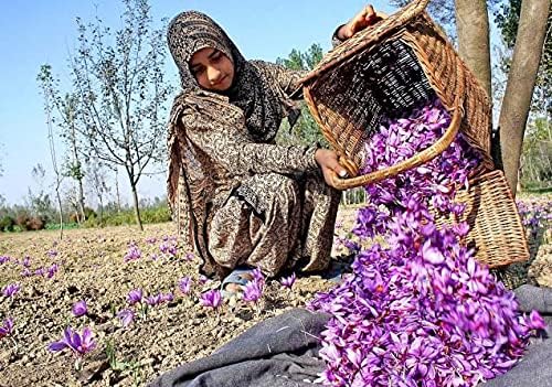 Kashmiri saffron threads for vitality