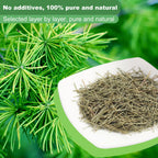 KASVAN pine needle tea loose leaf
