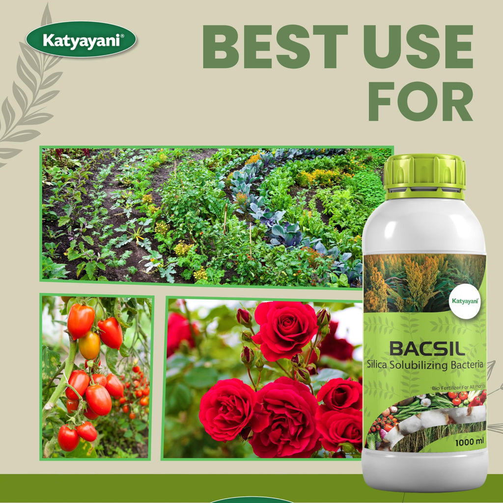 KATYAYANI BACSIL for healthy gardens