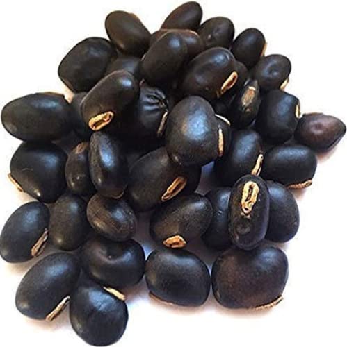 Kaunch Beej for reproductive health