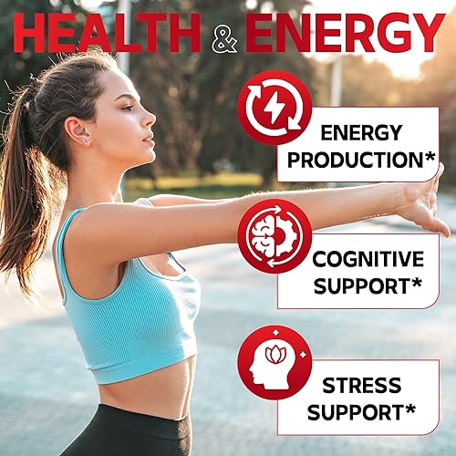kava kava 240 capsules supply
