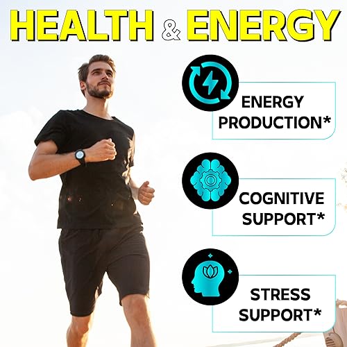 kava kava benefits for muscle recovery