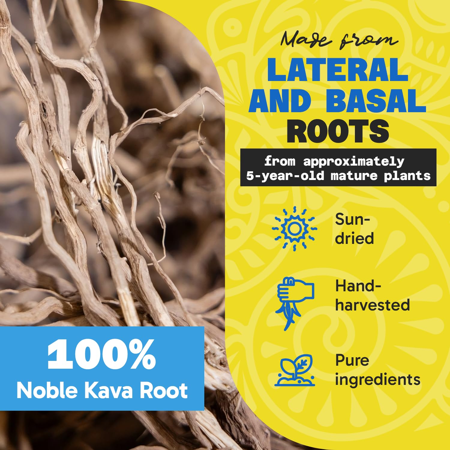 kava kava benefits for relaxation