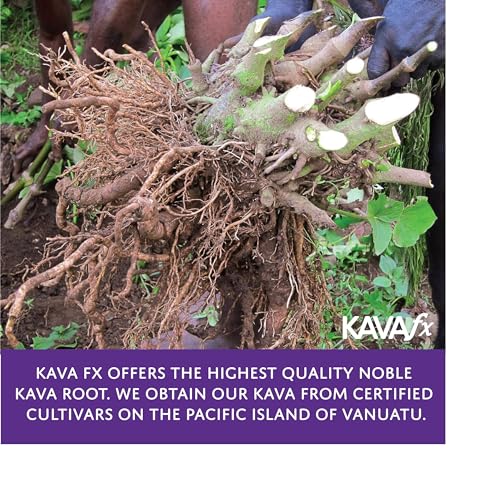 kava kava benefits for relaxation