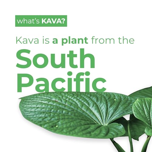 Kava Kava Canada wellness drink