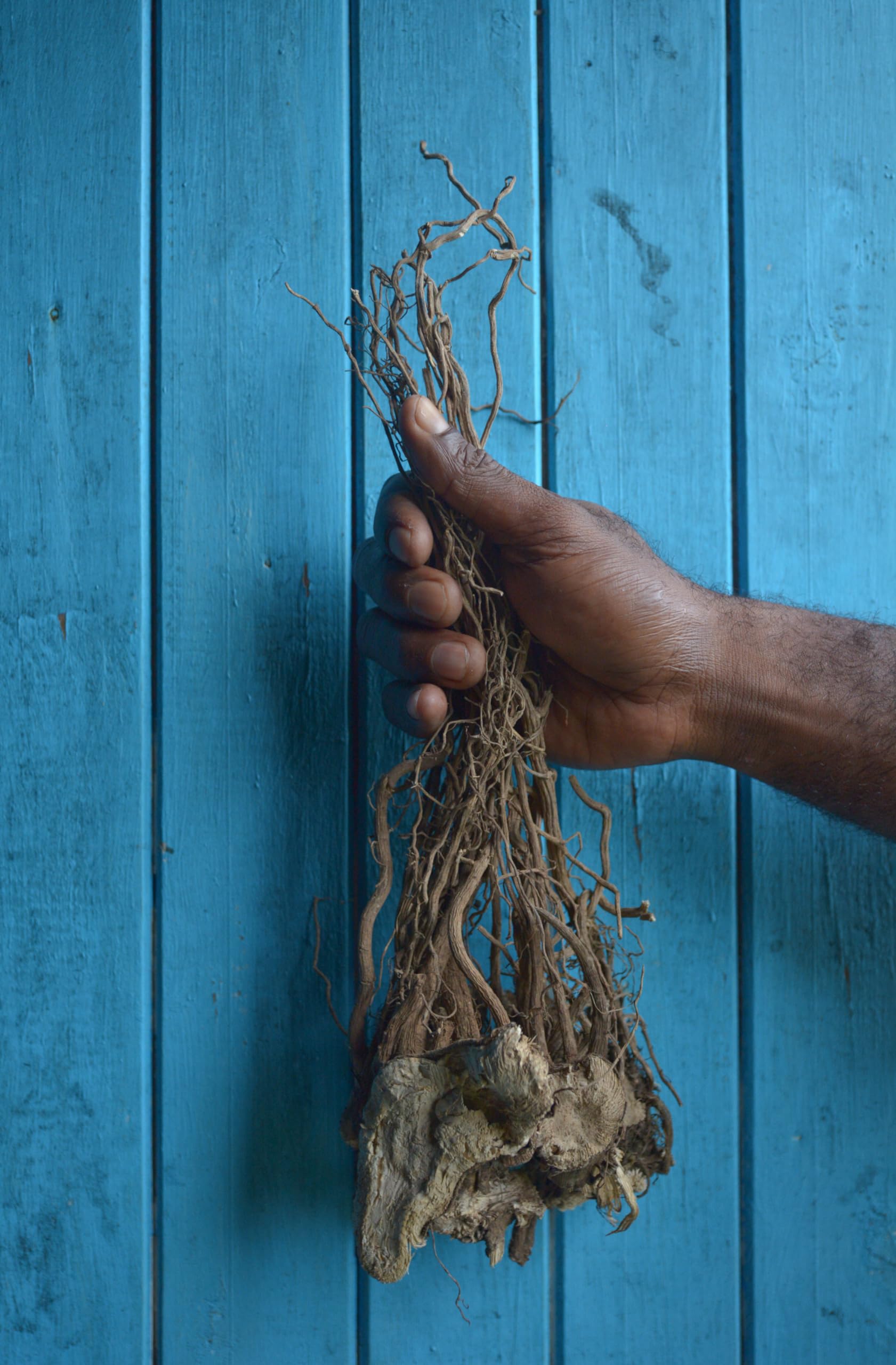 kava kava for better sleep