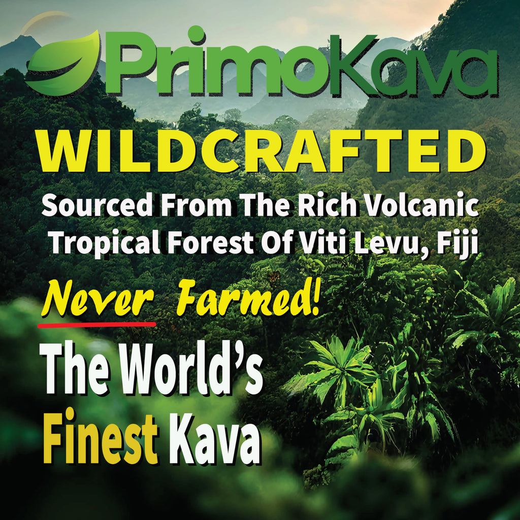kava kava for social enjoyment