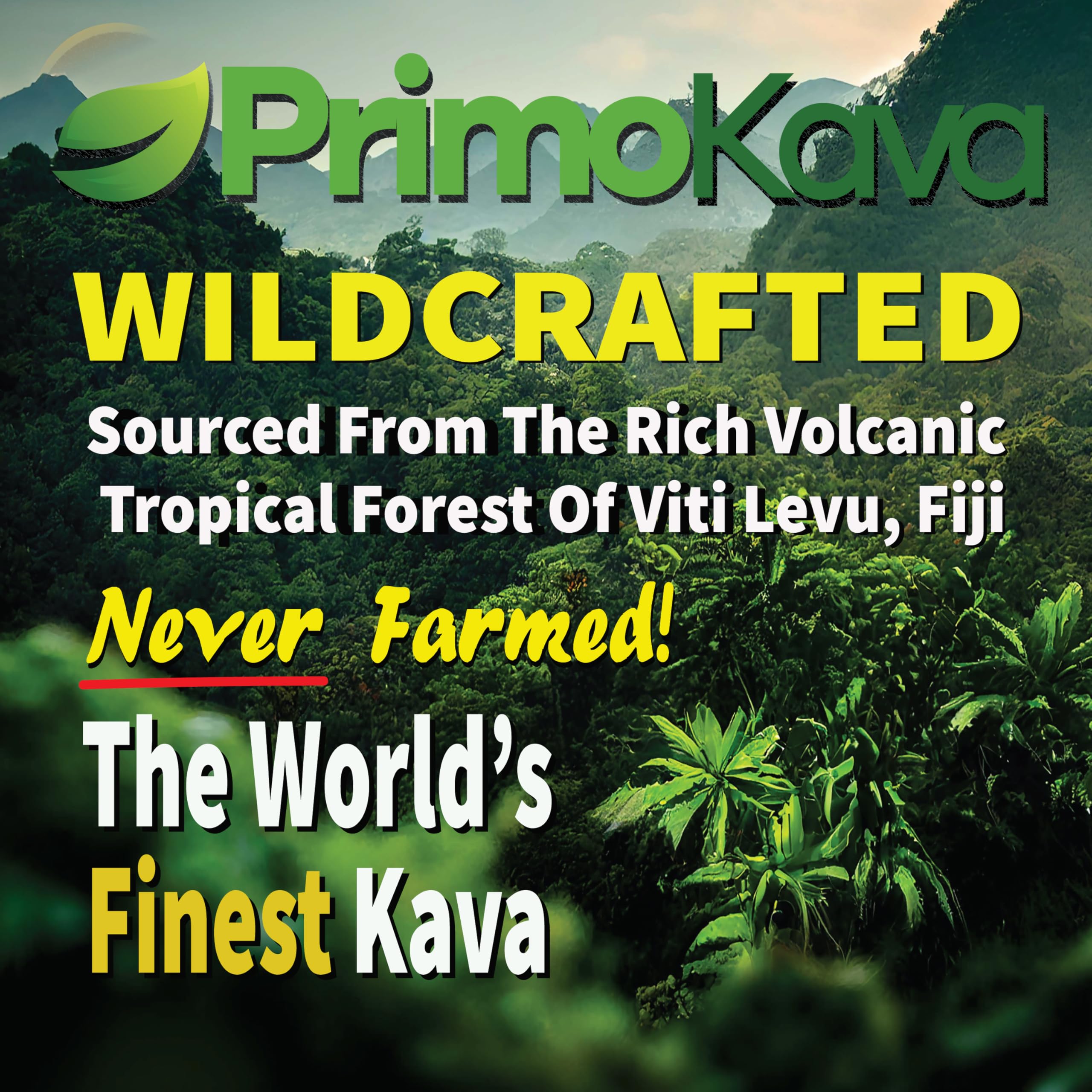 kava kava for social enjoyment