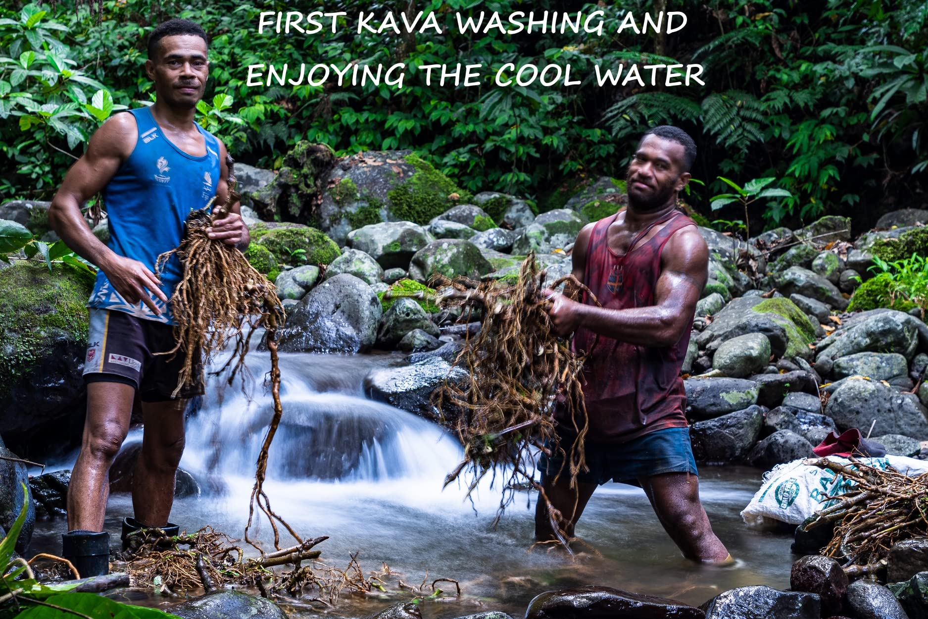 kava kava powder for wellness