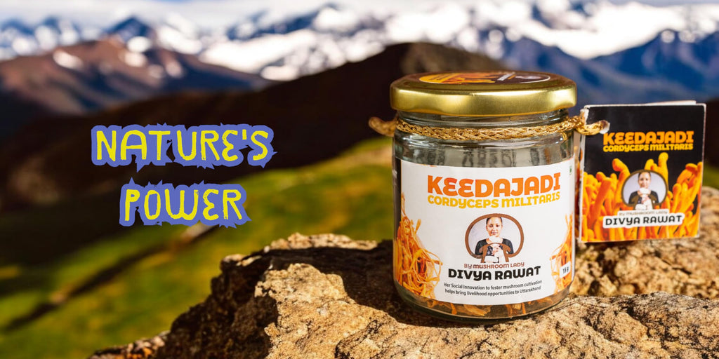 KEEDAJADI mushrooms for health benefits