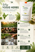 Keezhanelli powder supports liver function