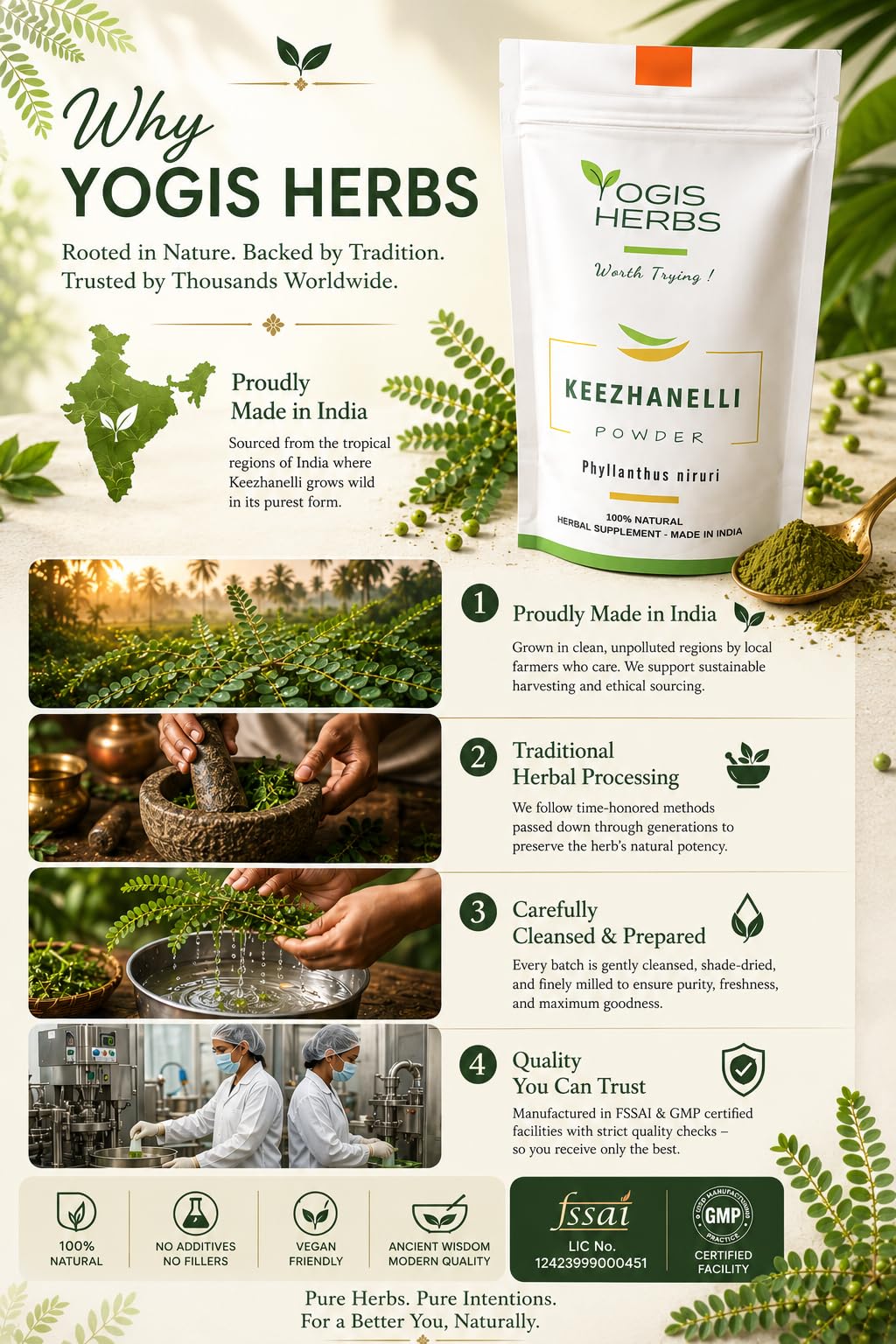 Keezhanelli powder supports liver function