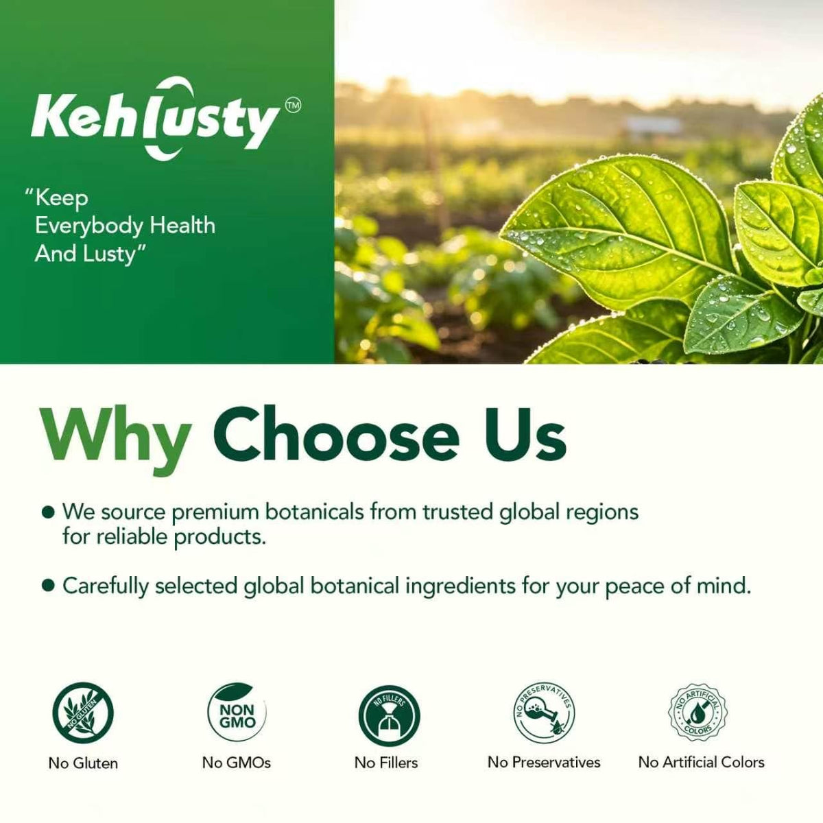 KEHLUSTY oil of oregano benefits
