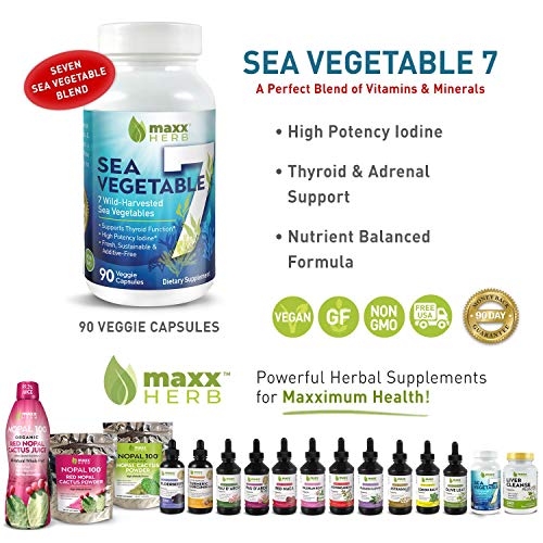 kelp capsules for thyroid support