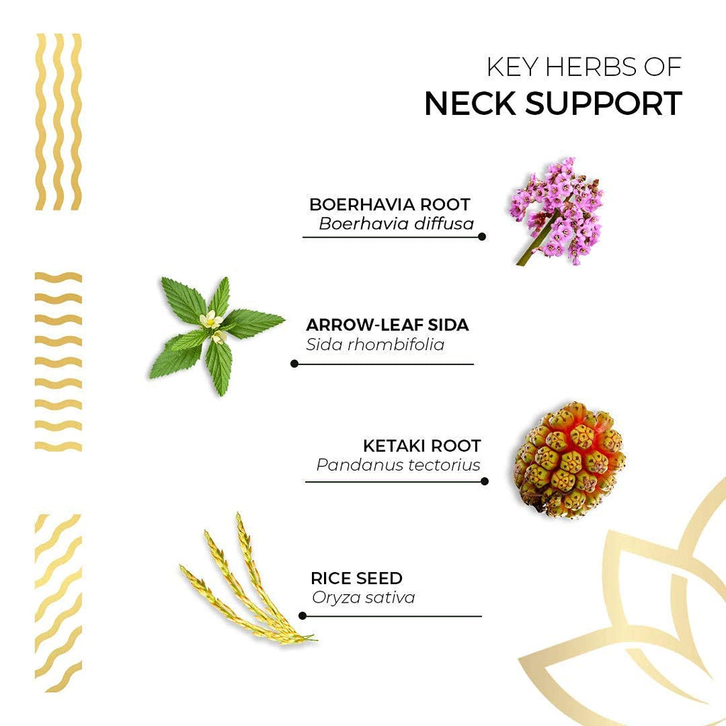 Kerala Ayurveda muscle support capsules