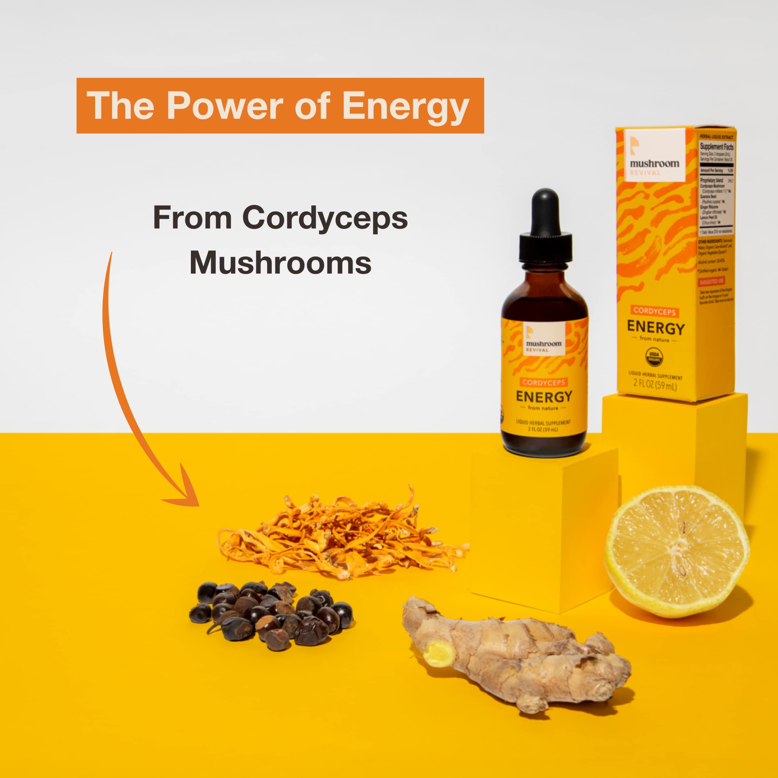 keto-friendly mushroom tincture for health