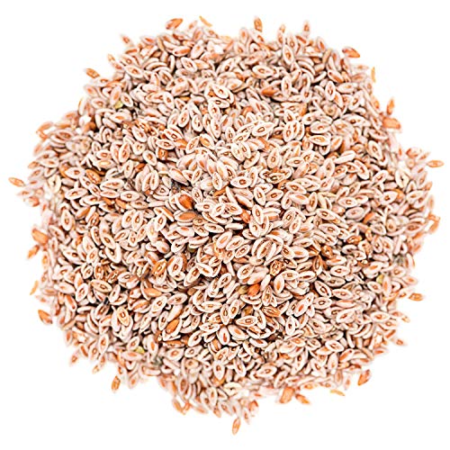 keto-friendly psyllium for low-carb diets