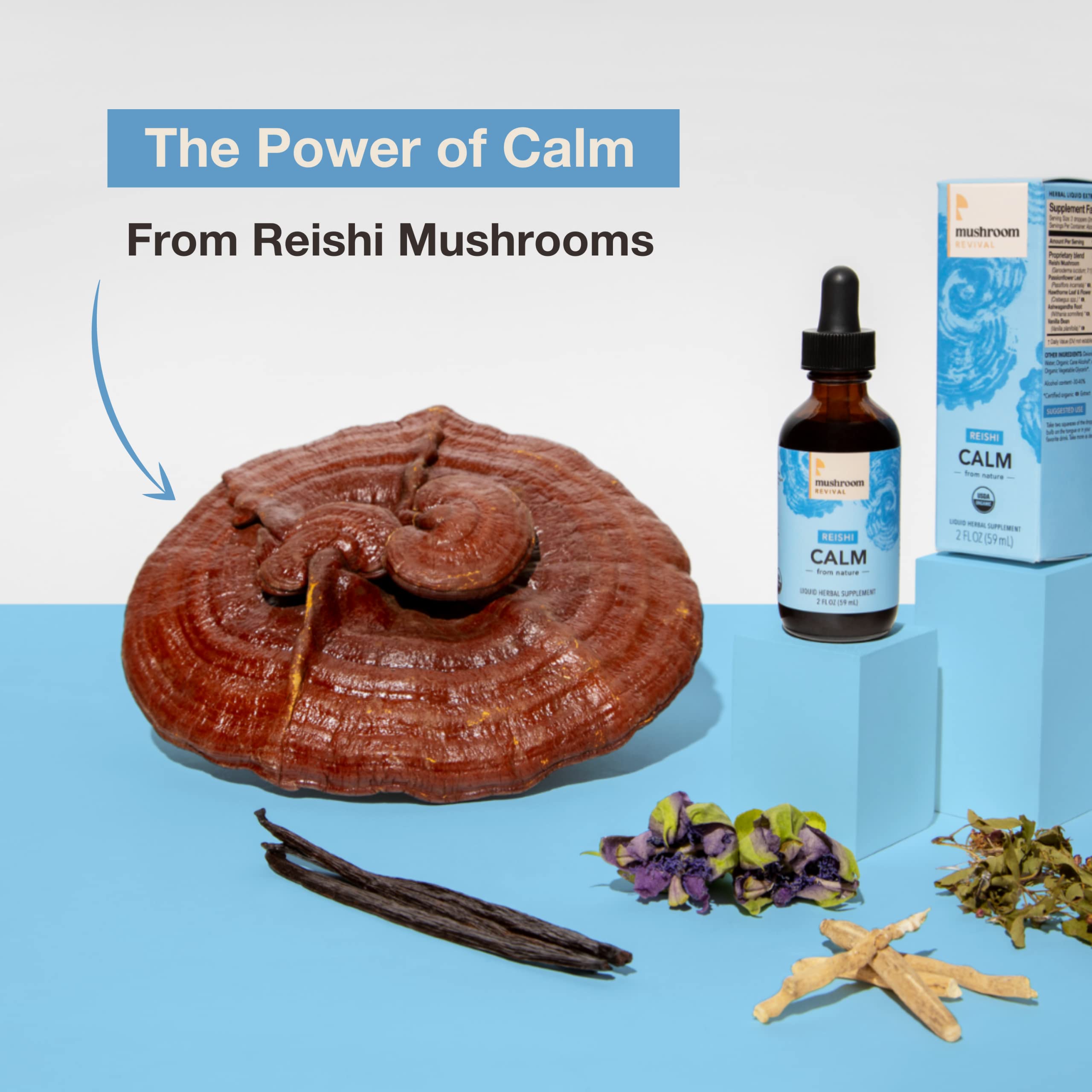 keto-friendly reishi tincture benefits