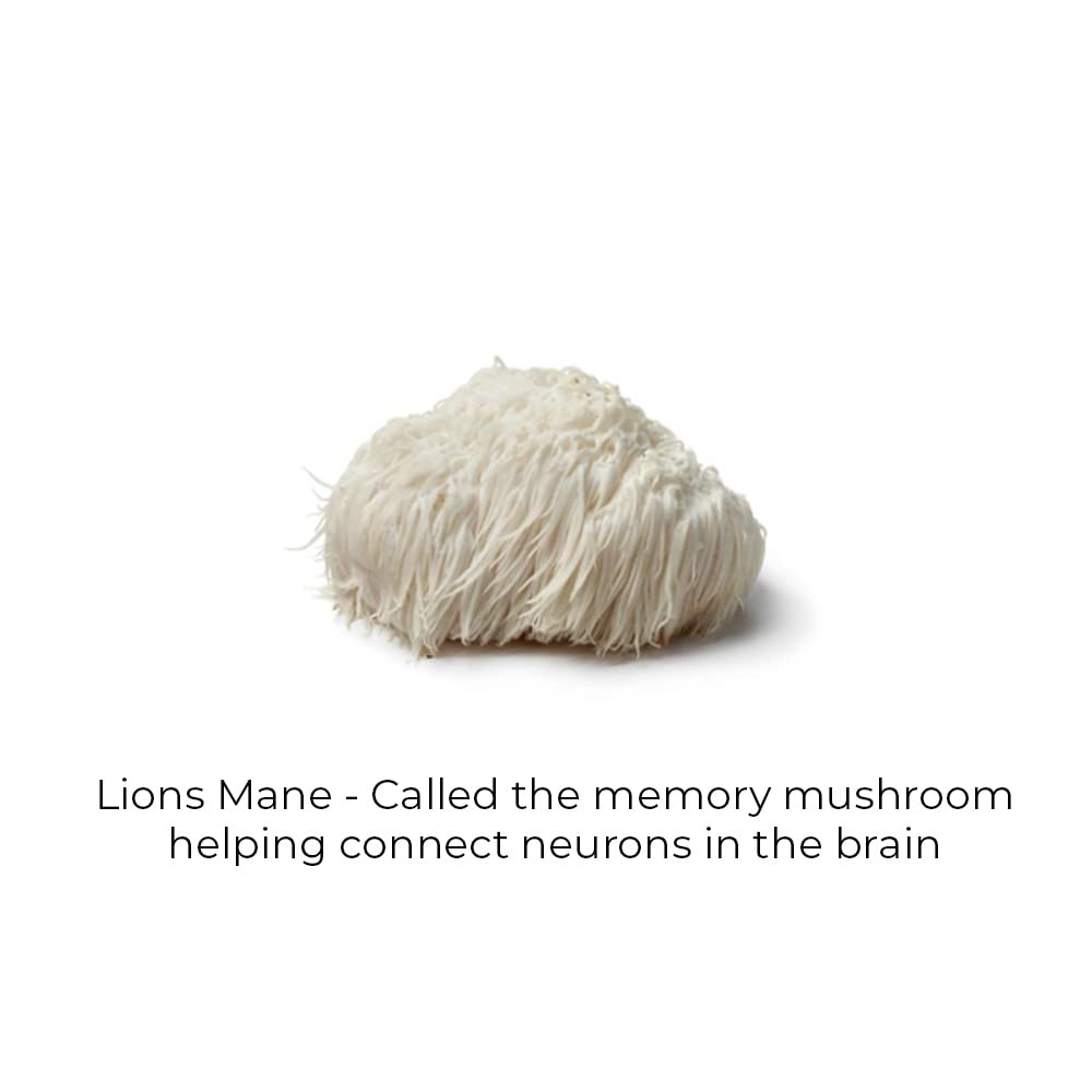 Keurig coffee with Lion's Mane benefits