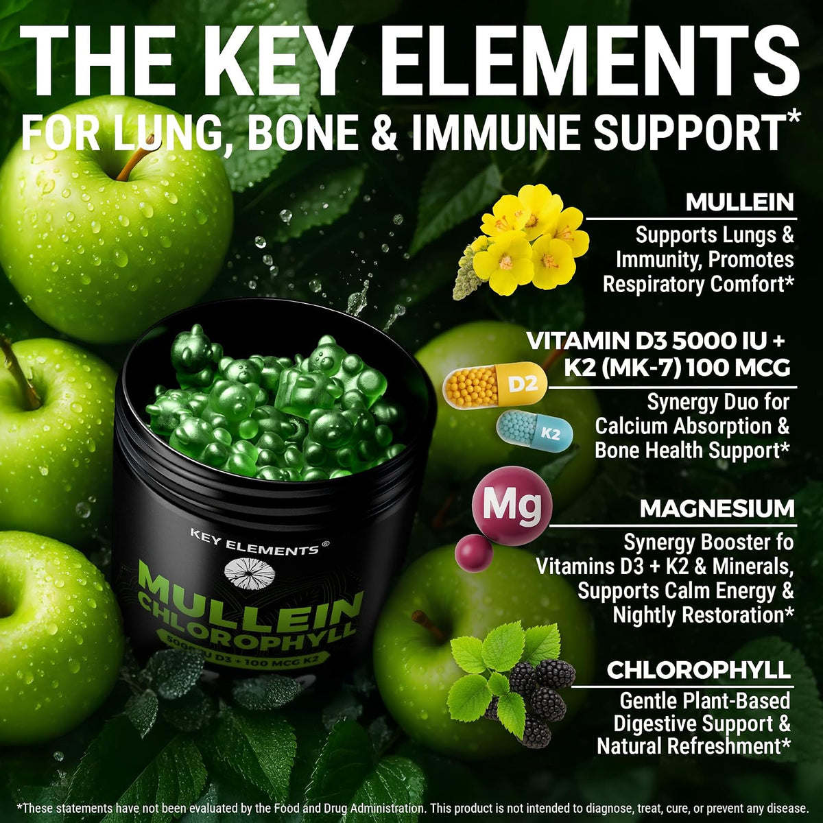 KEY ELEMENTS herbal Mullein supplement