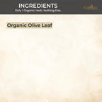 Khroma herbal olive leaf liquid
