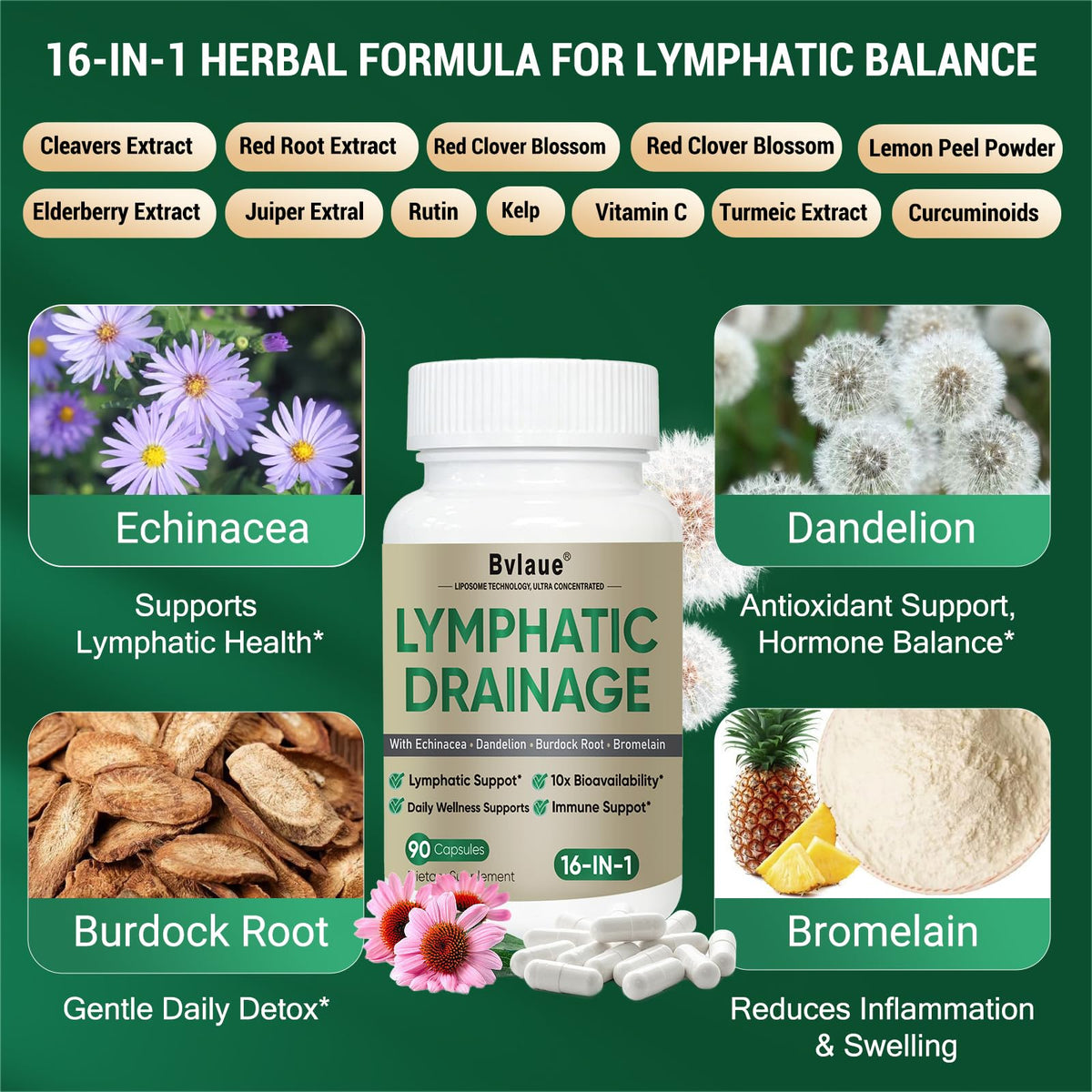 Kidney support with echinacea