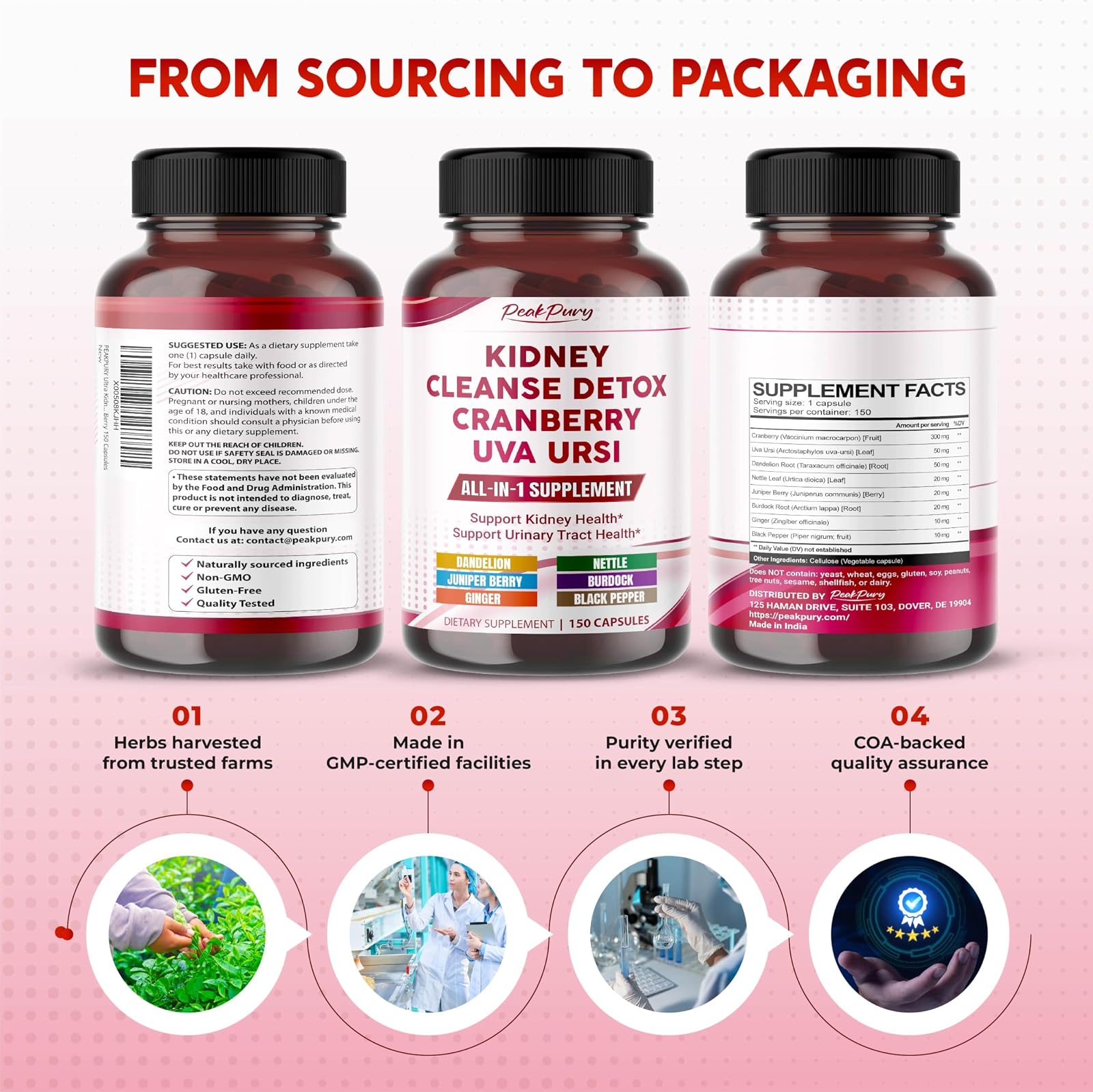 Kidney Wellness dietary supplement